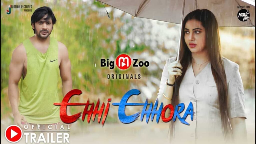 Chhi Chhora Hindi Web Series All Seasons, Episodes and Cast